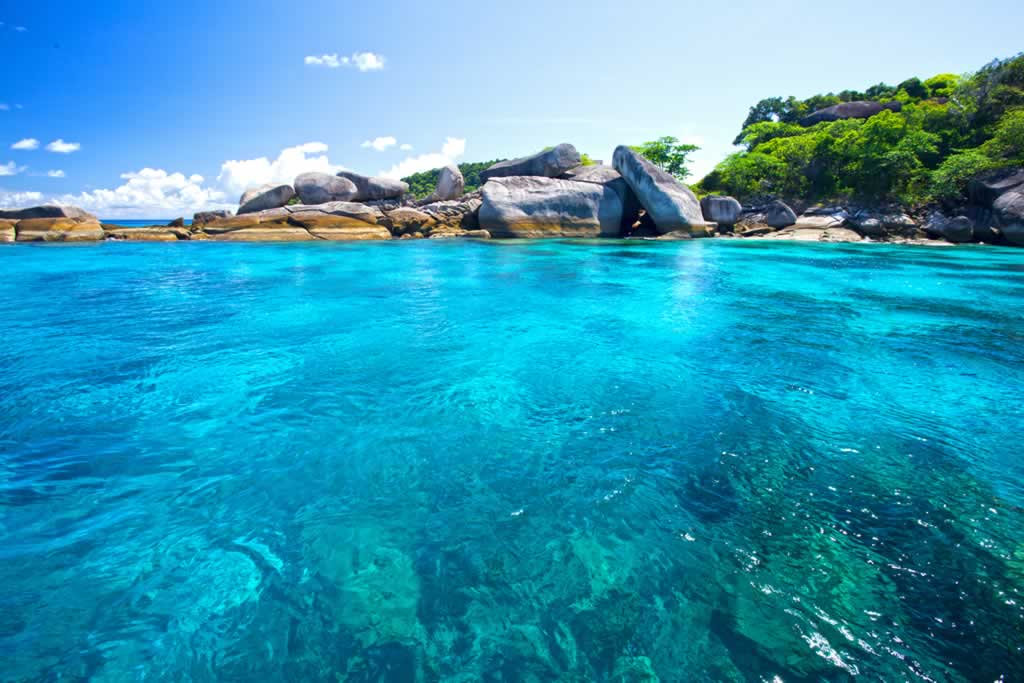 Snorkeling Similan Islands - Phuket Tours to Similan Islands