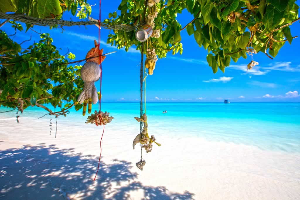 Snorkeling Similan Islands - Phuket Tours to Similan Islands