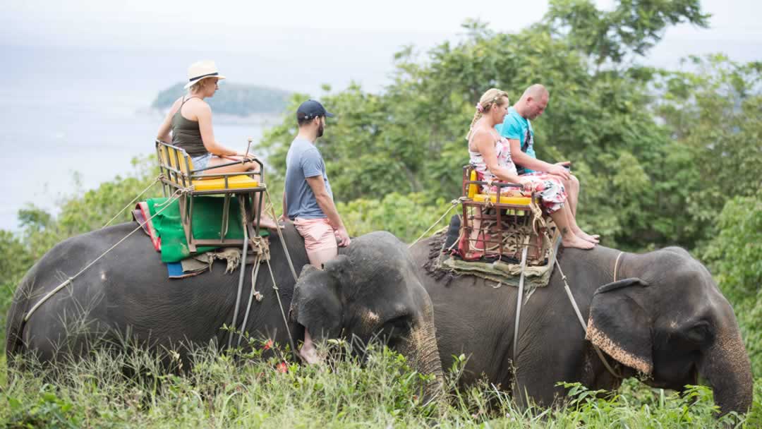 Elephant Trekking Phuket with Easy Day Phuket Tour